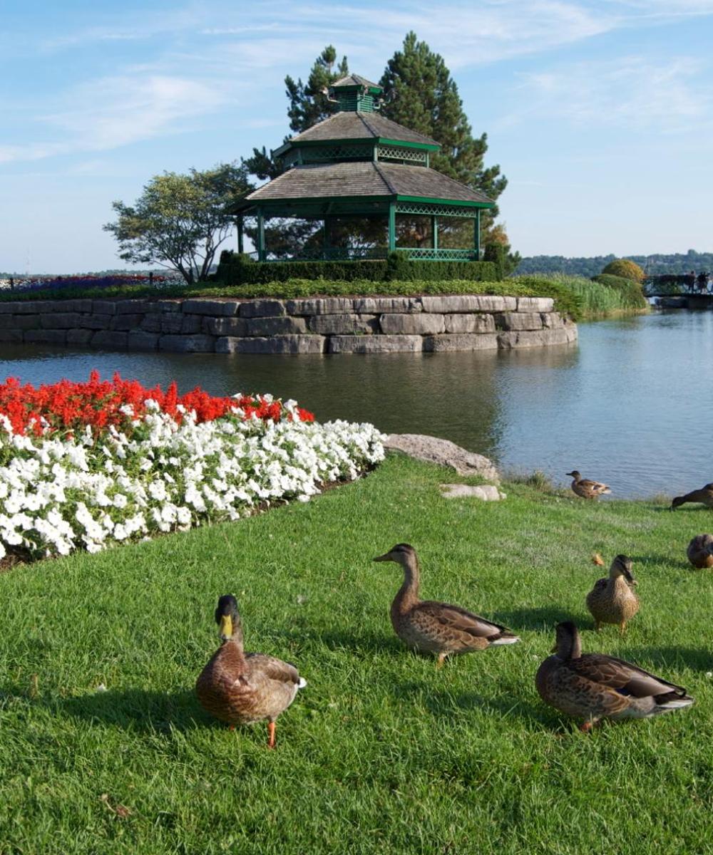 Cheap car hire in Bruce Peninsula, Southern Georgian Bay and Lake ...