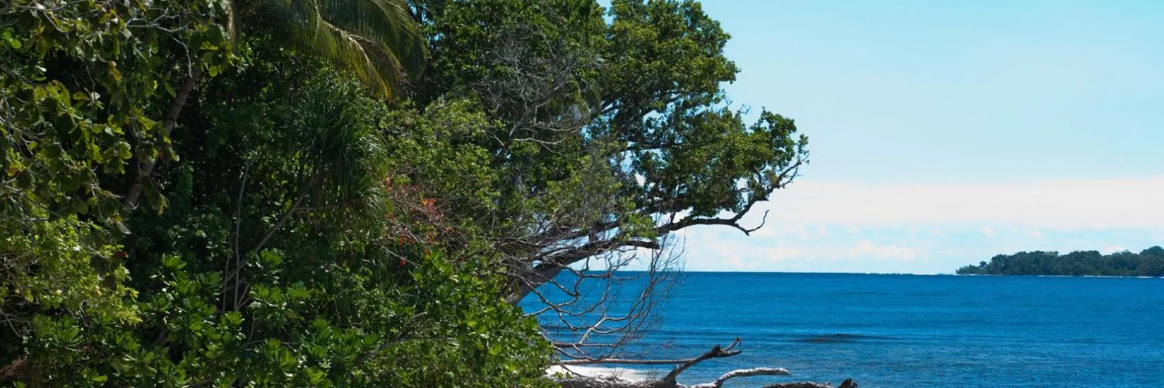 The 10 best hotels & places to stay in Honiara, Solomon Islands ...