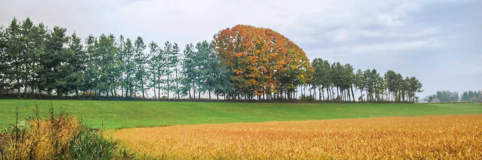 I migliori hotel e alloggi disponibili nei pressi di Cameri - hotel di ...