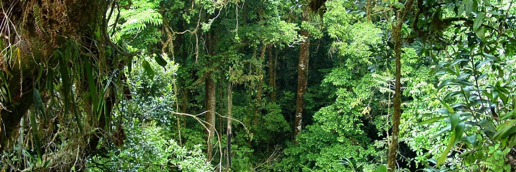 The best available hotels & places to stay near Palma, Costa Rica