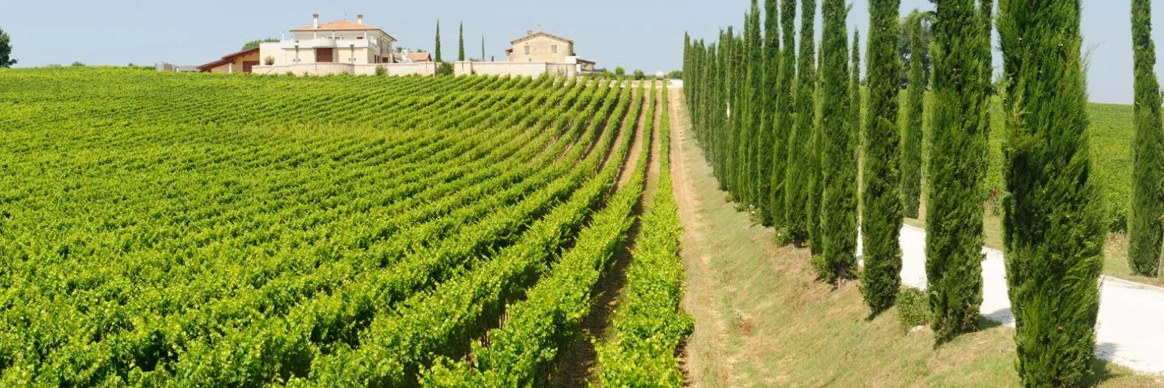 The 10 best hotels & places to stay in Caprese Michelangelo, Italy ...