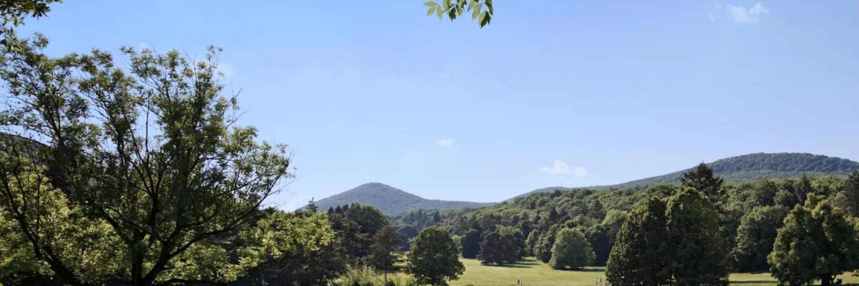 Die 10 besten Hotels in Modra, Slowakei (Ab € 179)