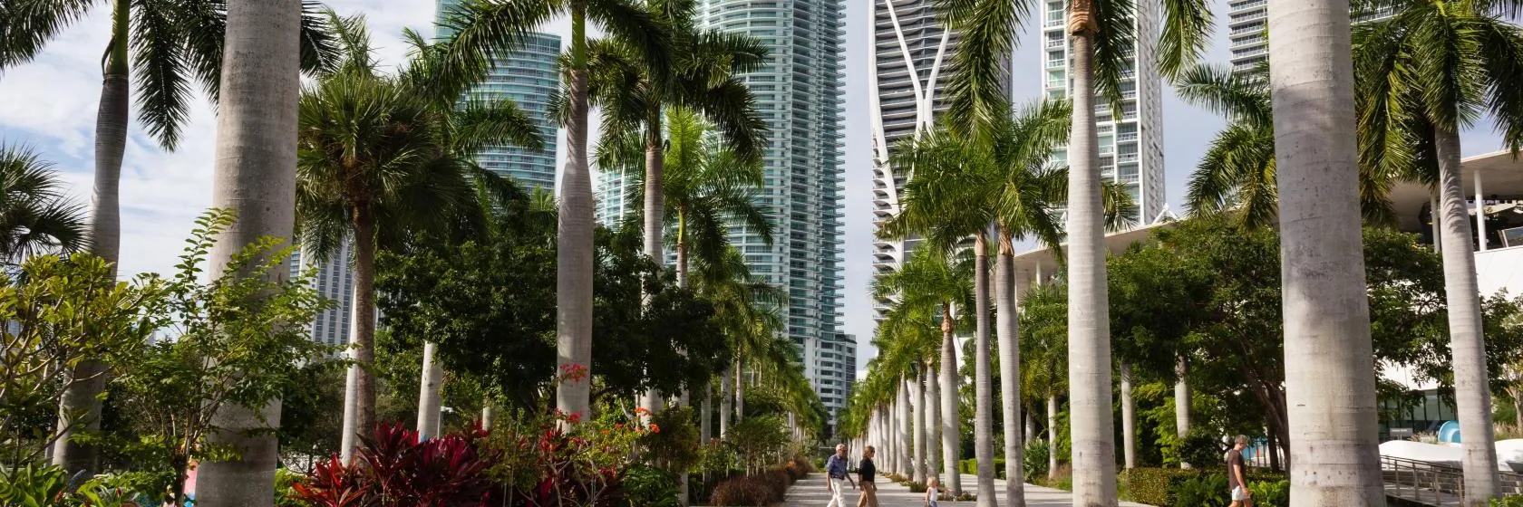 Los 10 mejores hoteles de Miami, Estados Unidos (desde € 73)