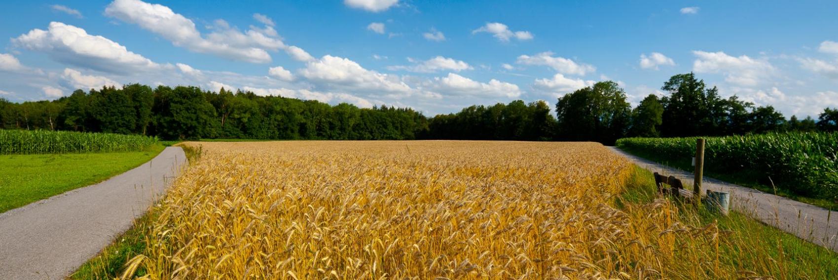 Vacances à Wittlich : des offres exceptionnelles pour des vacances à ...
