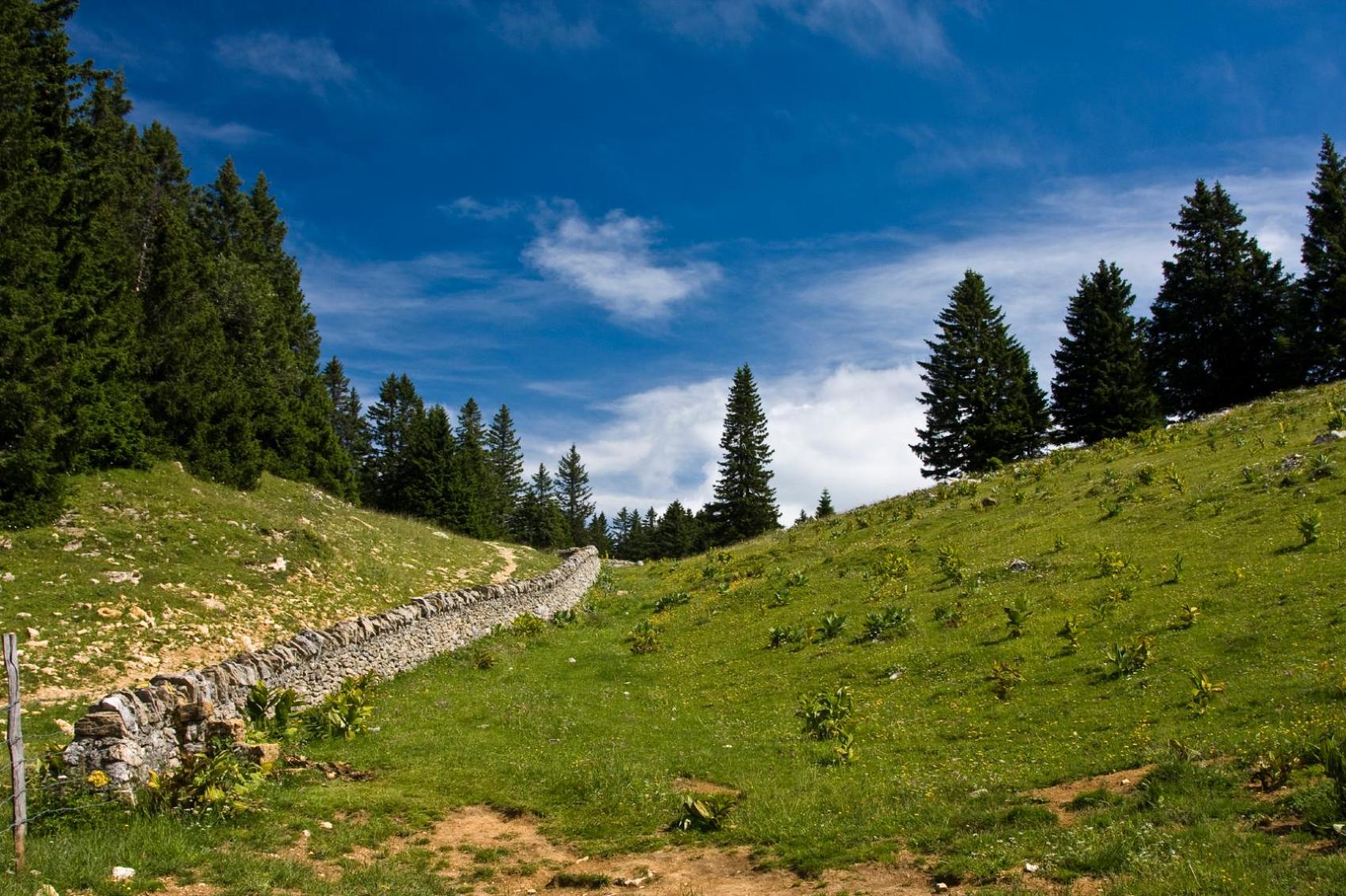 Europcar Car Rental in Buchs