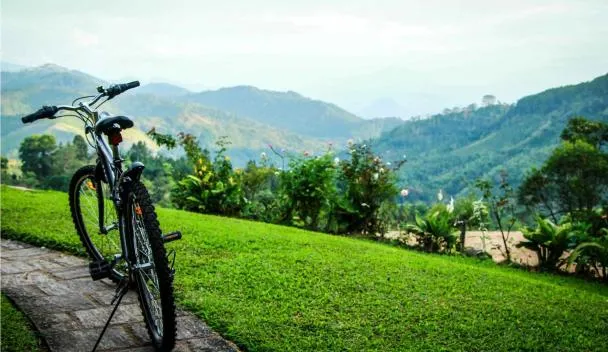 Hatale Tea Estate Bungalow, Madulkele (updated prices 2026)