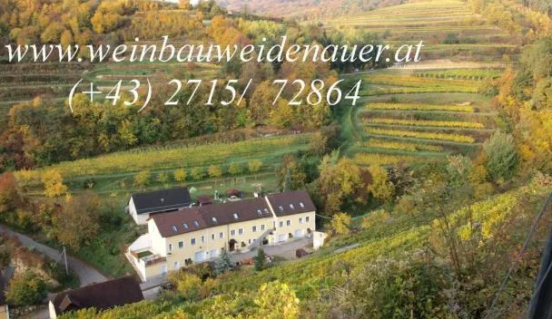 Weinbau Weidenauer, Wösendorf (tarifs actualisés pour 2026)