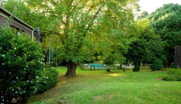Kings Lodge Hotel, Hogsback (updated prices 2026)