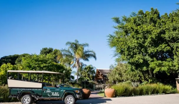 Addo Wildlife, Addo (updated prices 2026)