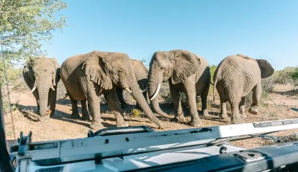 Omaruru Game Lodge, Omaruru (updated prices 2026)