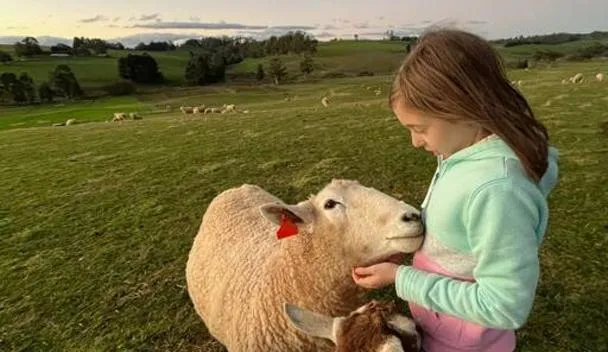 JillyPark Farmstay Experience Discover Authentic Farm Life ...