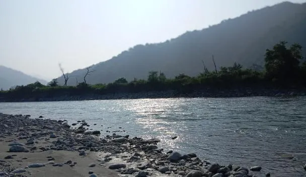 Corbett Jungle Inn,Riverside Forest Camp ,,Muhan,Dhikala Range opposite ...
