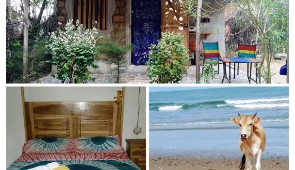Guesthouse JUNGLE & OCÉAN ABÉNÉ, Abene (updated prices 2026)