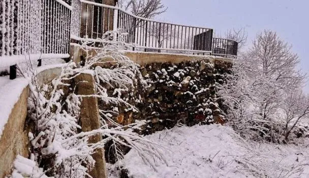 Todor Resort, Arjut (precios actualizados en 2026)