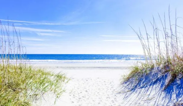 Rare View Premium Oceanfront 4 BR, Myrtle Beach (updated prices 2026)