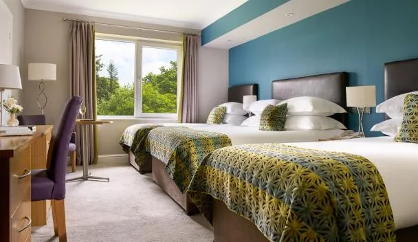 The Rine, Newmarket on Fergus (updated prices 2026)