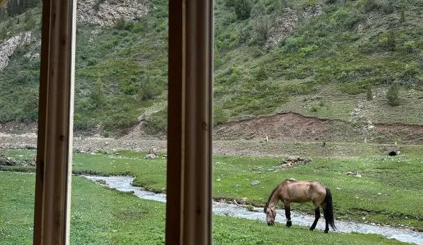 Camp Moldo pass on the road to Son Kol lake, overnight stay, meals, tea ...