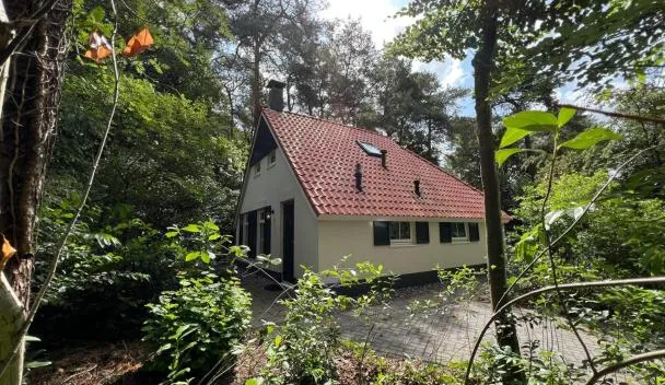 The Molshoop - In the middle of the forest, IJhorst (updated prices 2026)