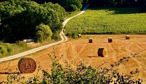 La Grande Rossignol, Belvèze (updated prices 2026)