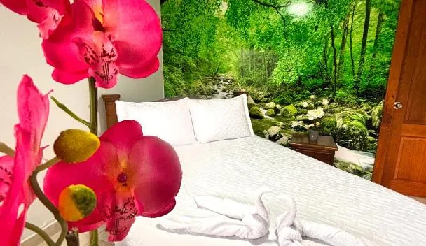 Hotel Sleep Well, Filandia (precios actualizados en 2026)