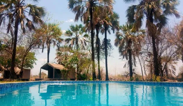 Royal South Luangwa Safaris Lodge, Mfuwe (updated prices 2026)
