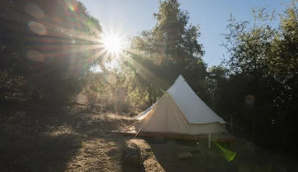 Cozy Bell Tent in Palomar Mountains, Pauma Valley (precios actualizados ...