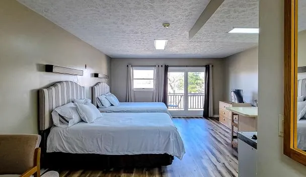 Stroll to Douglas Lake Sleeps 4 Dog OK Games Gym, Baneberry (updated ...