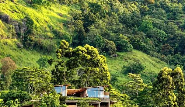 Wishing Tree Boutique Resort - Haputale's Panoramic Hideaway, Haputale ...