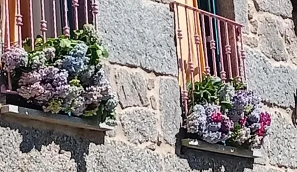 Mar de rosa, Vilanova de Arousa (precios actualizados en 2026)
