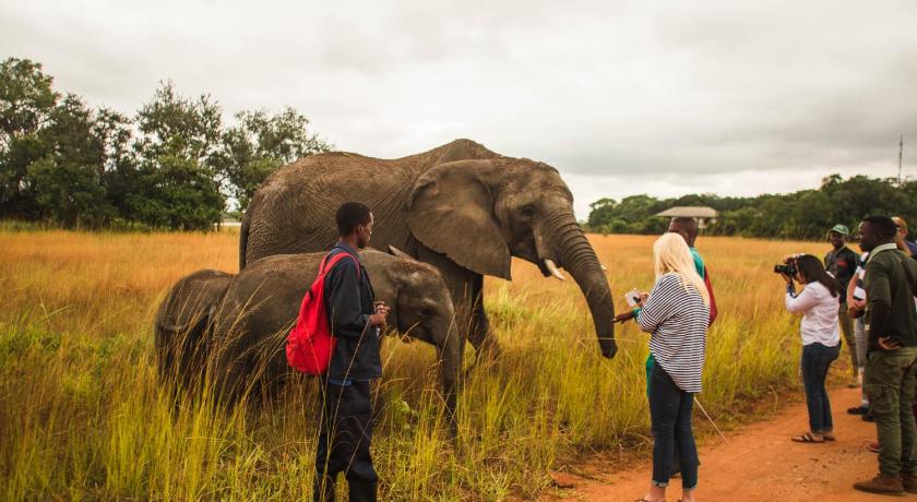 Chaminuka Lodge Chisamba Road Lusaka