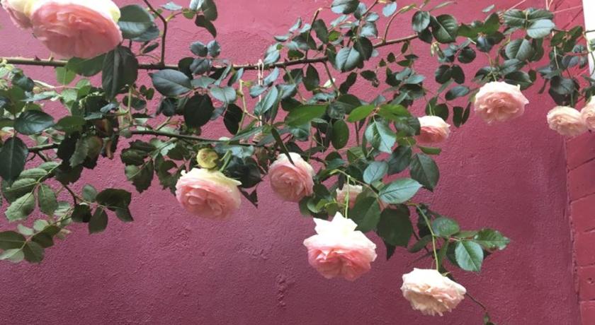La Maison Rouge, Paris | 2026 Updated Prices, Deals