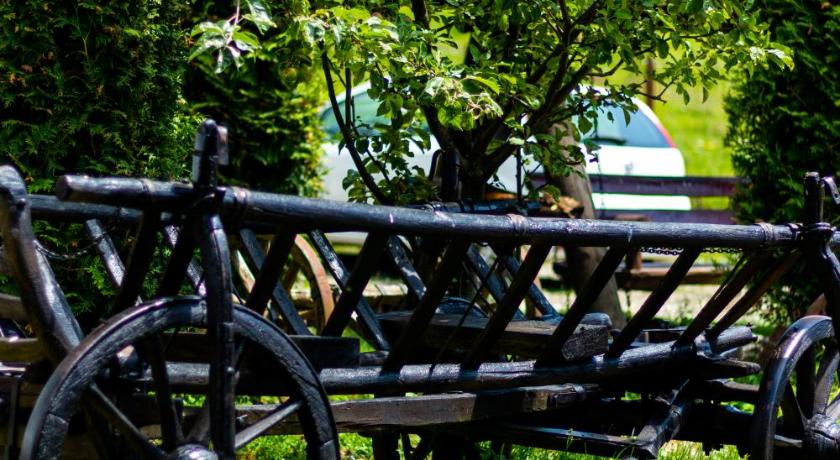 Pensiunea LIN COTA 1000 Guest House (Sinaia) - Deals, Photos & Reviews