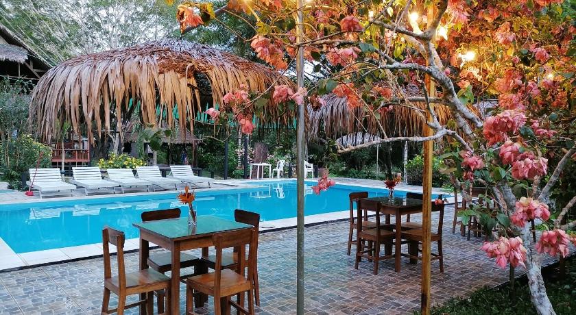 Best Amazon Lodges in Peru: 10 Jungle Lodges For Every Type of Traveler ...