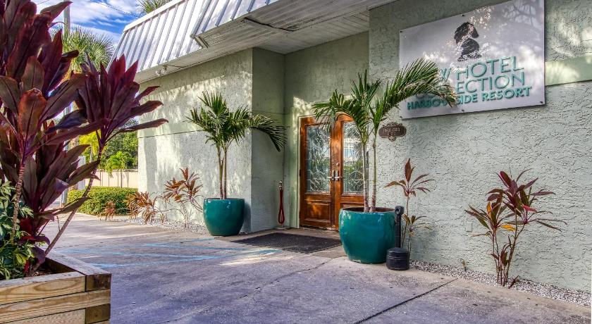 Best Price on New Hotel Collection Harbourside in Indian Rocks Beach ...