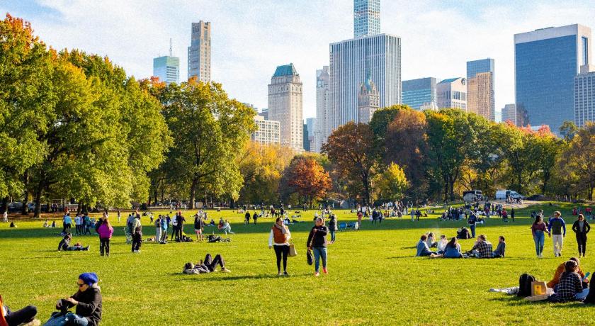 Nap York Central Park Sleep Station in New York (NY) - See 2023 Prices