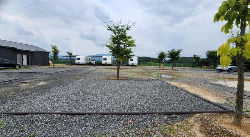 Campground Full of Stars in | 2025 Updated prices, deals - Klook ...