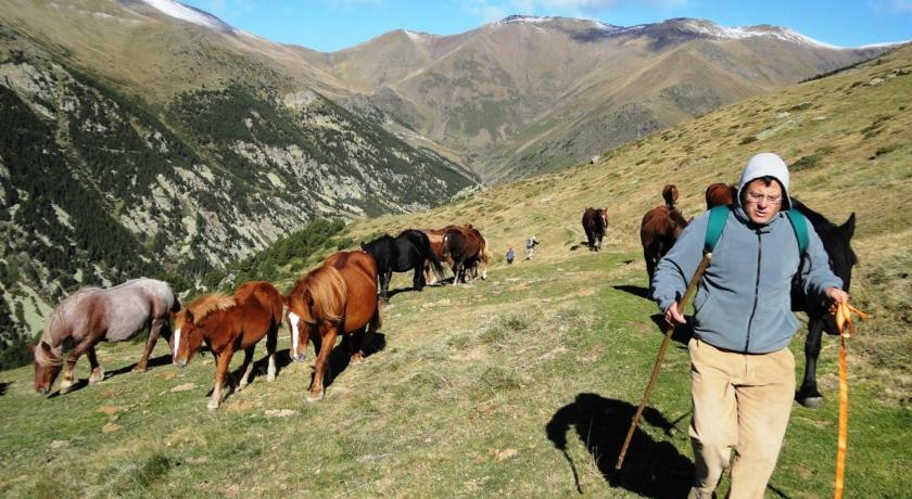 La Cabanya de Cal Forn de Serrat | Ribes de Freser OFERTAS ACTUALIZADAS ...