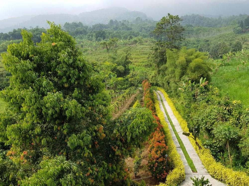 Kebunsu Bogor Villas Harga, foto, ulasan, alamat. Indonesia