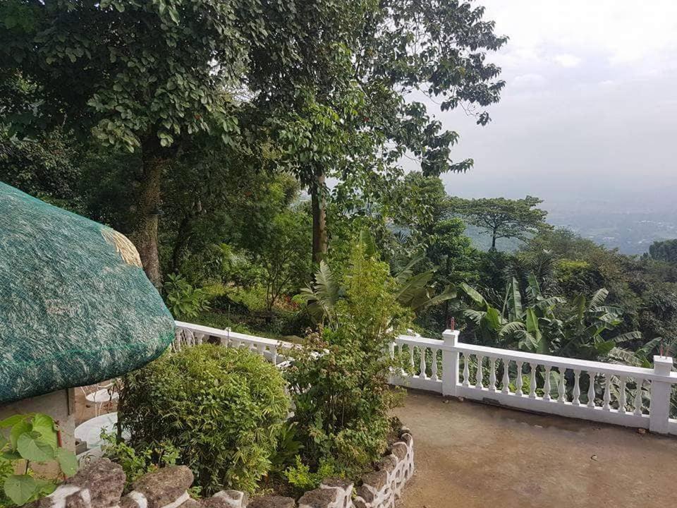 Brixcel Farm Prices, photos, reviews, address. Philippines