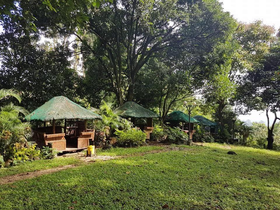 Brixcel Farm Prices, photos, reviews, address. Philippines