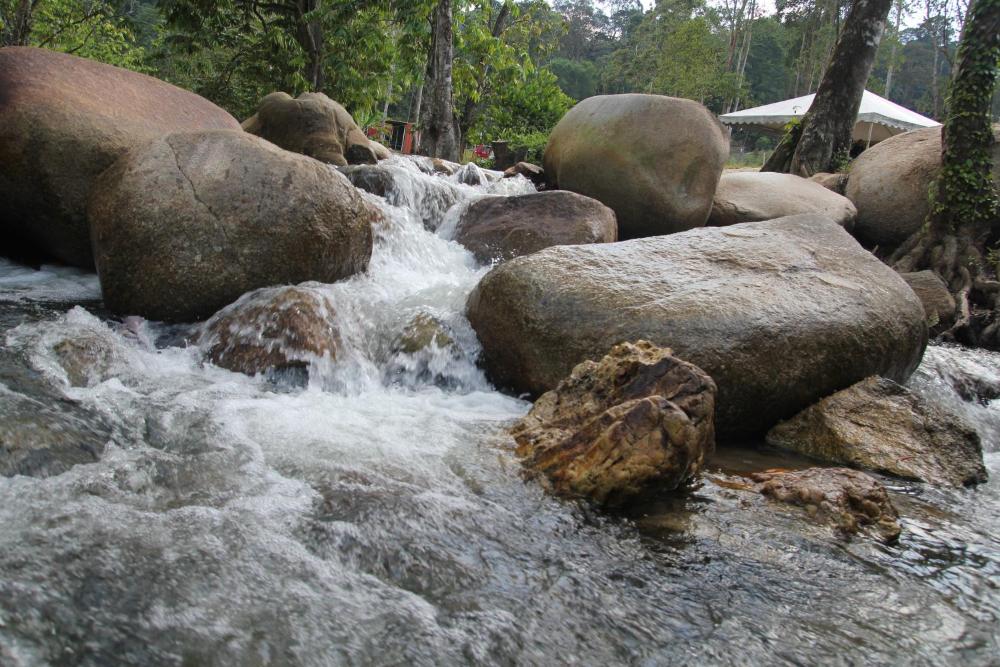 GIBS Ecotourism Resort Prices, photos, reviews, address. Malaysia