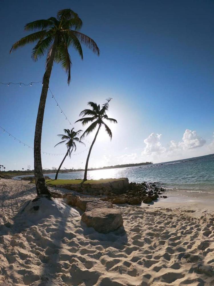 Playa Escondida Beach Resort & Marina Precios, fotos, comentarios ...