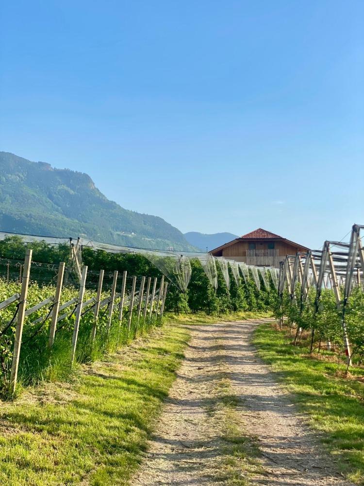 Hotels in Bozen, Südtirol für 1 Nacht im August 2025