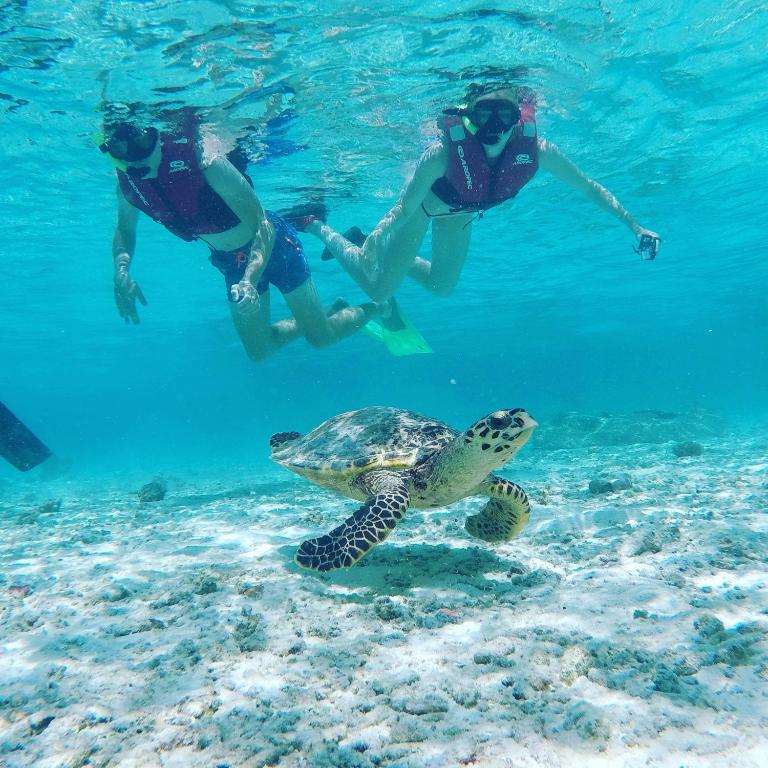 Salt Beach Hotel at Maafushi (Maldive Islands) – цены и отзывы на Agoda