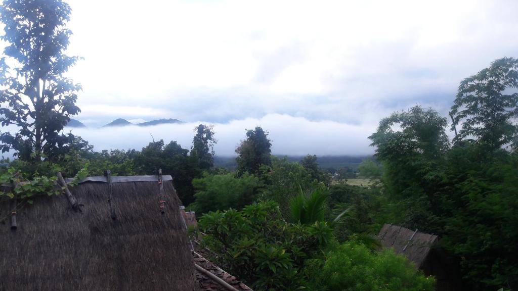 Pai Forest Resort, Thailand - 40 reviews, price from $8 | Planet of Hotels