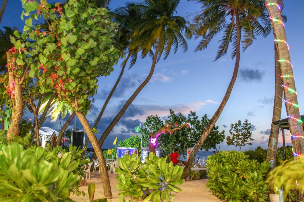 Salt Beach Hotel at Maafushi (Maldive Islands) – цены и отзывы на Agoda