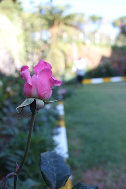 Lady Horton Bungalow, Nuwara Eliya | 2024 Updated Prices, Deals