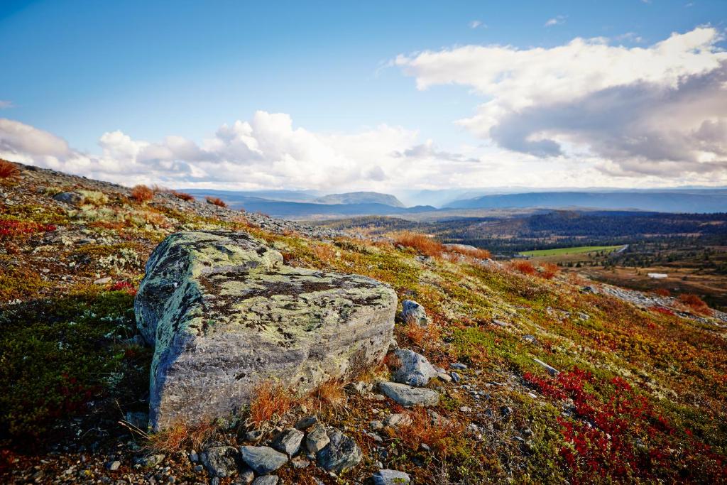 Storefjell Resort Hotel, Gol | 2024 Updated Prices, Deals