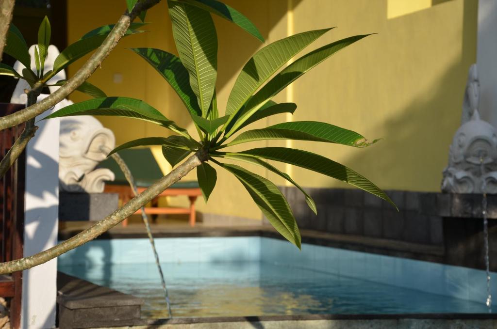 Tamarind Beach Bungalows, Bali | 2024 Updated Prices, Deals