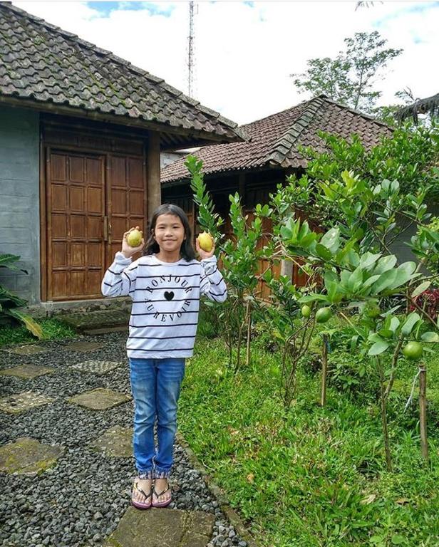 Pondok Bamboo Sendangsari, Wonosobo | 2025 Updated Prices, Deals